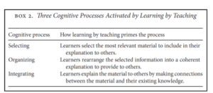 Buddy Up for Learning Success? An Evaluation of Peer Teaching in ...